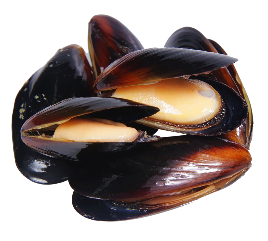 Frozen Whole Blue Mussel 500g | Villa Market