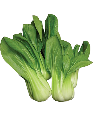 PF Pak Choi 200g | Villa Market
