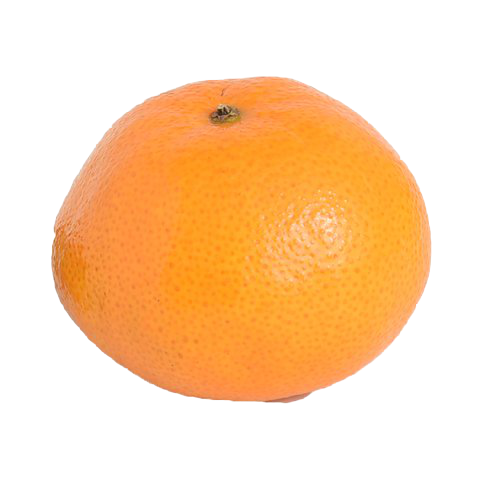 Fg Orange Mandarin Aus 500g | Villa Market