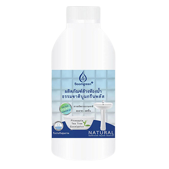 Boom Green Bathroom Liquid Cleanser 500ml | Villa Market