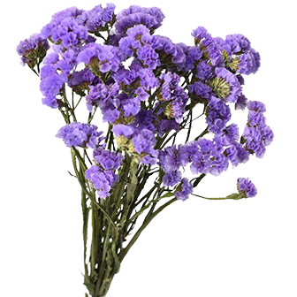 Jk A Bunch Of Dried Violet Statice 1Bunch | Villa Market