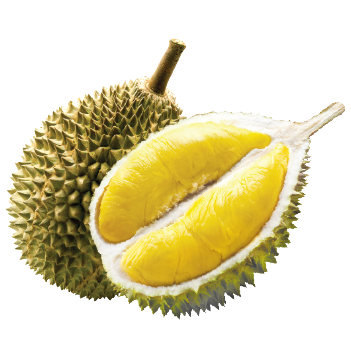 FF Kan Yao Durian 800g | Villa Market